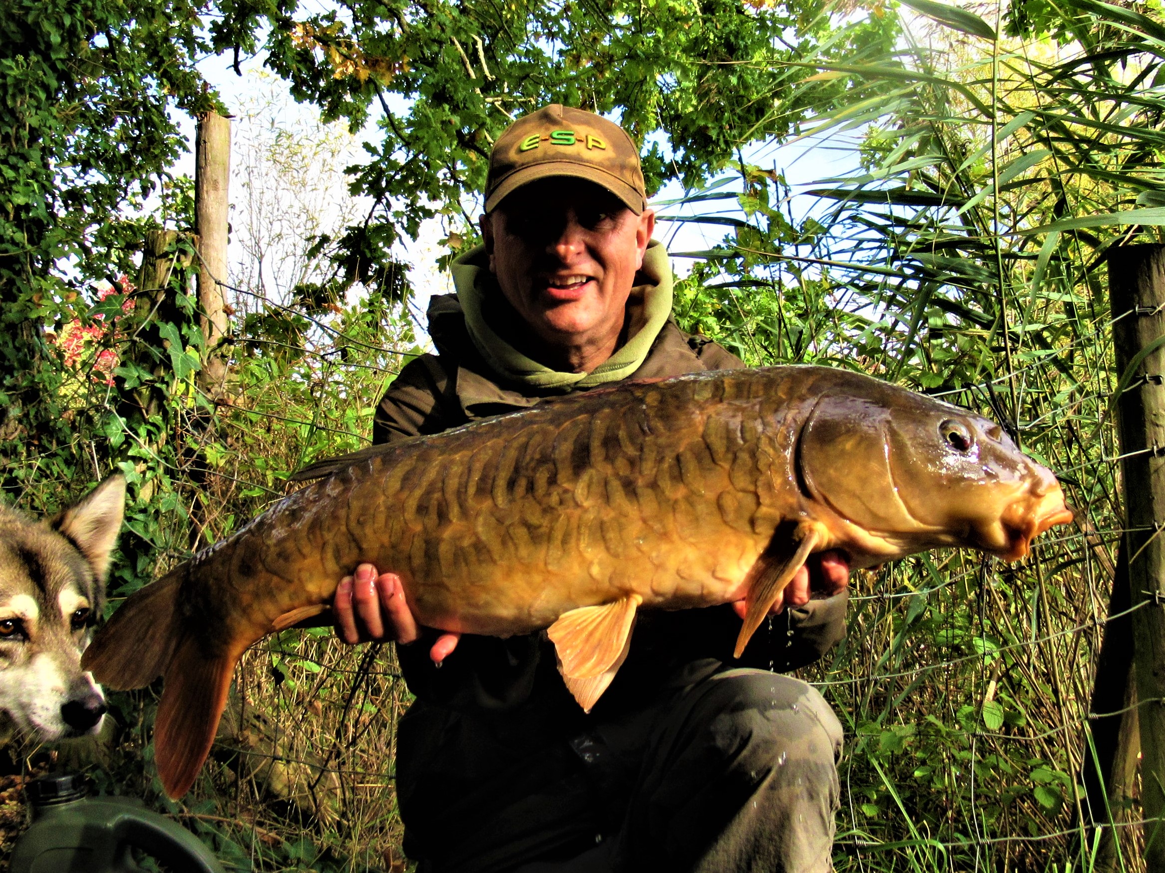 Nice Scaley Mirror | Total Carp
